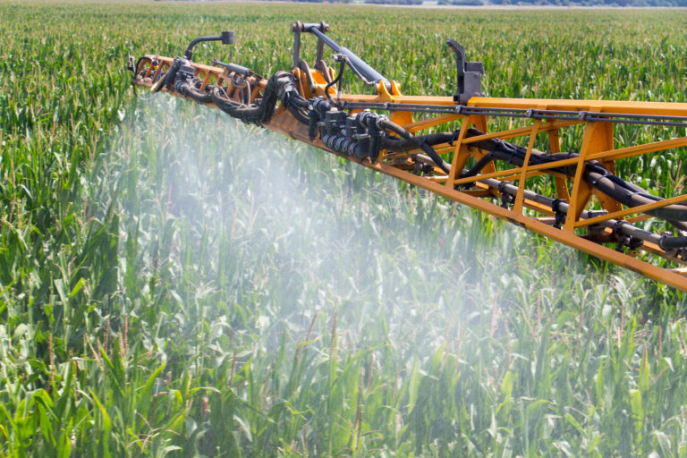 Corn Spraying | DBG - Derwent Buyers Group